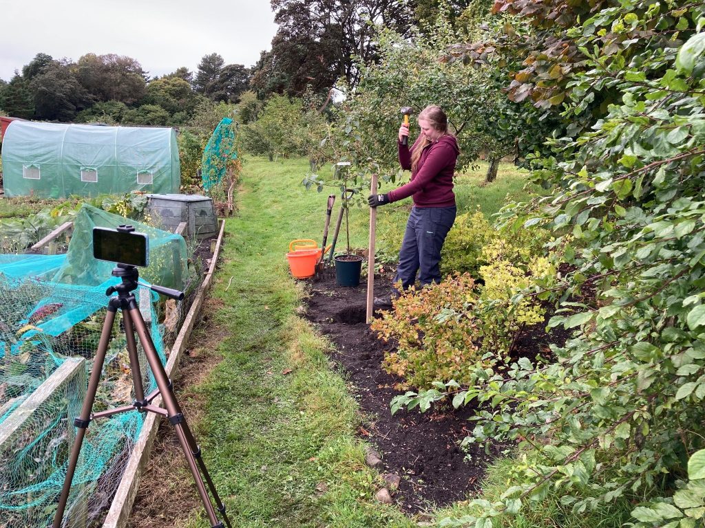 Climate Action Fife | Fruit tree planting and care guide