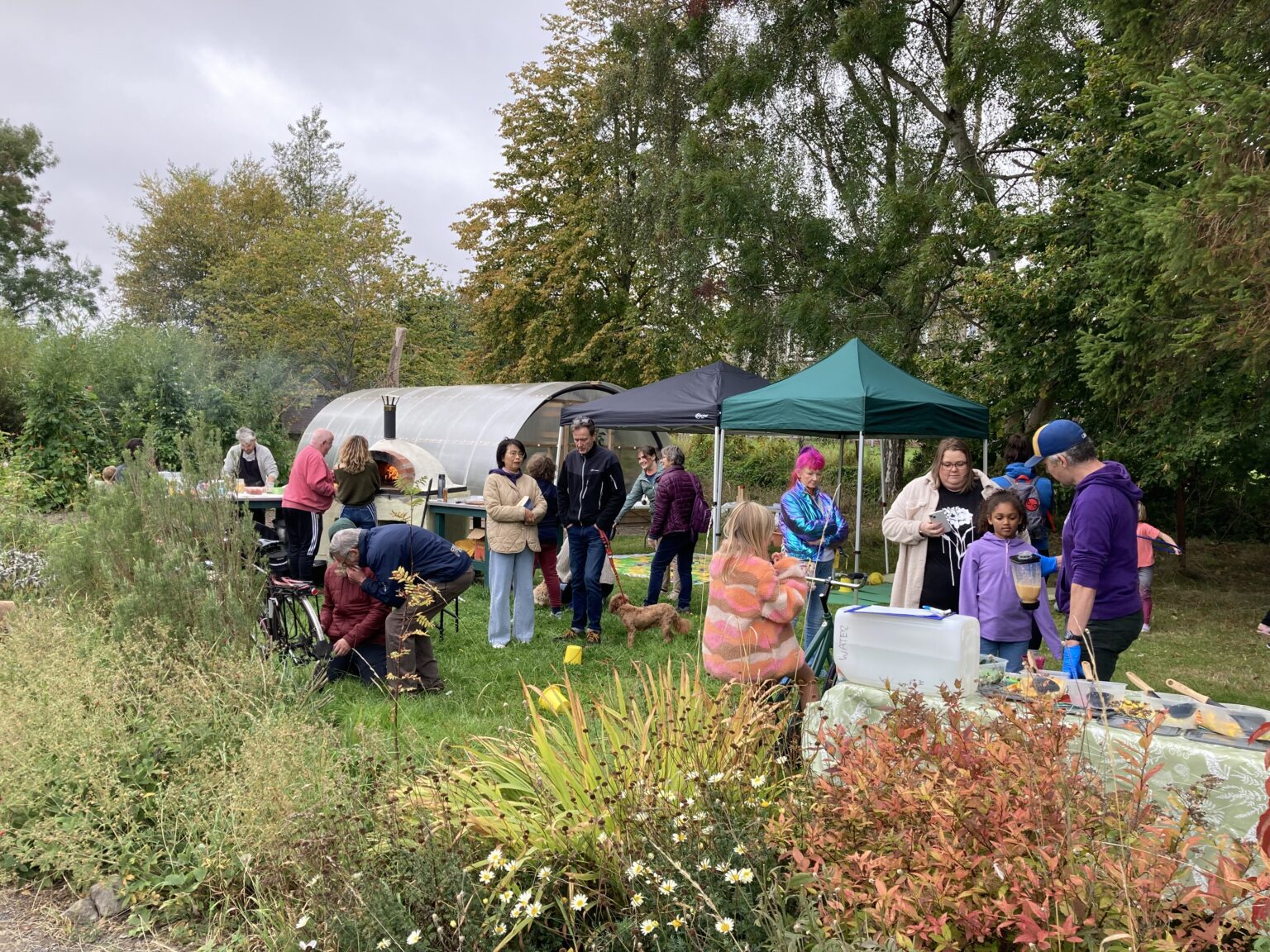 Climate Action Fife | Fife Climate Festival